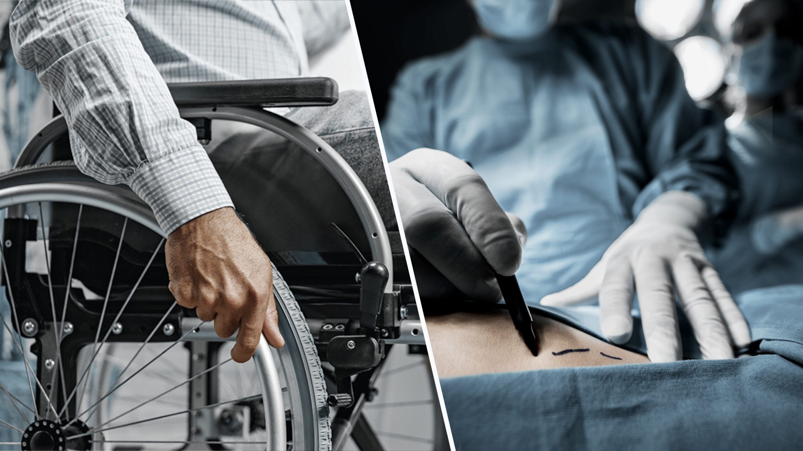 Transableism: The Next Cultural Abyss? – Harbingers Daily | Serve Him ...